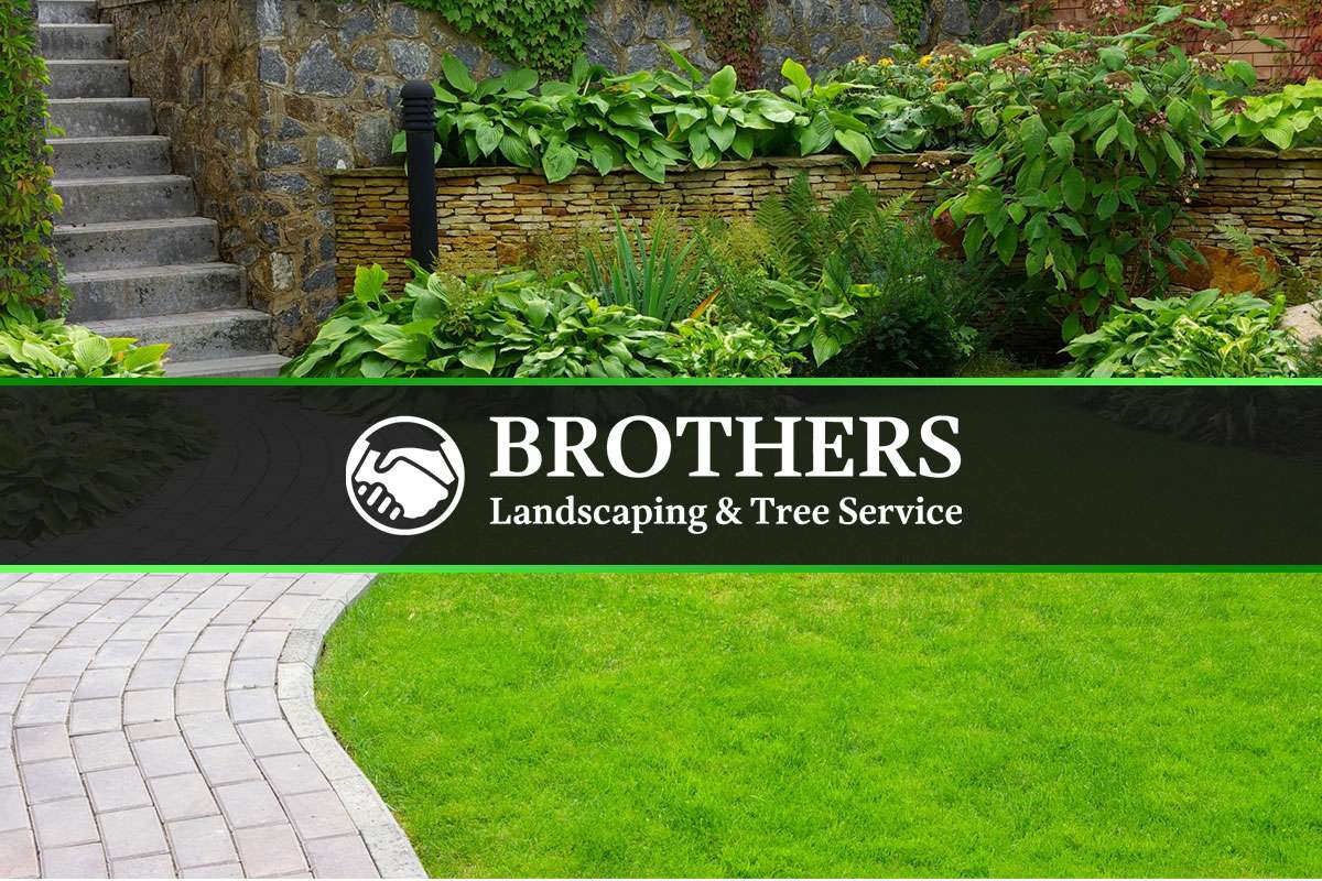 Tree Service in Belfair, WA - Professional Care for Your Trees